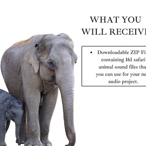 161 Safari Animal Sound Kit | Audio Project | Animal Sounds | Sound FX ...