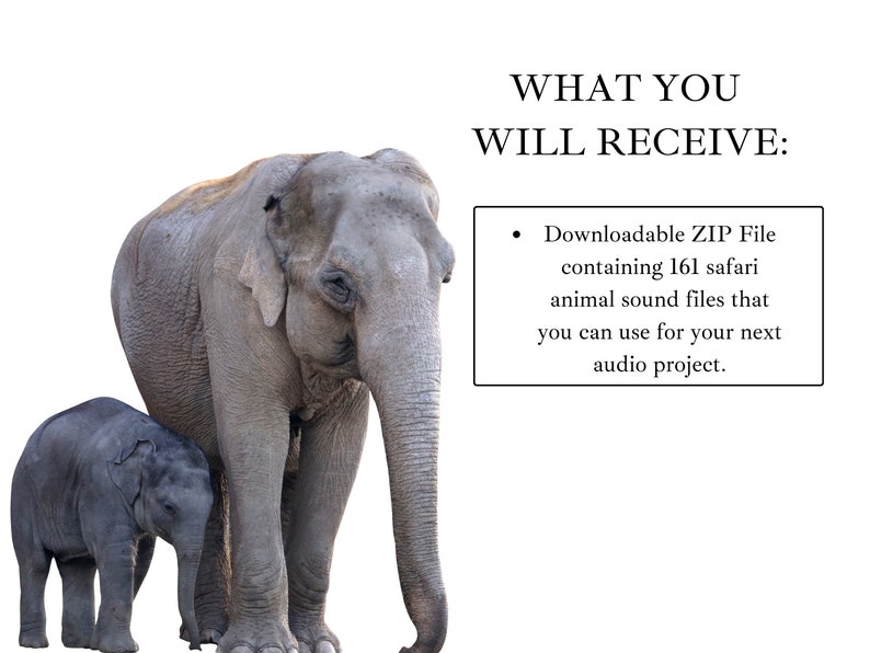 161 Safari Animal Sound Kit | Audio Project | Animal Sounds | Sound FX ...