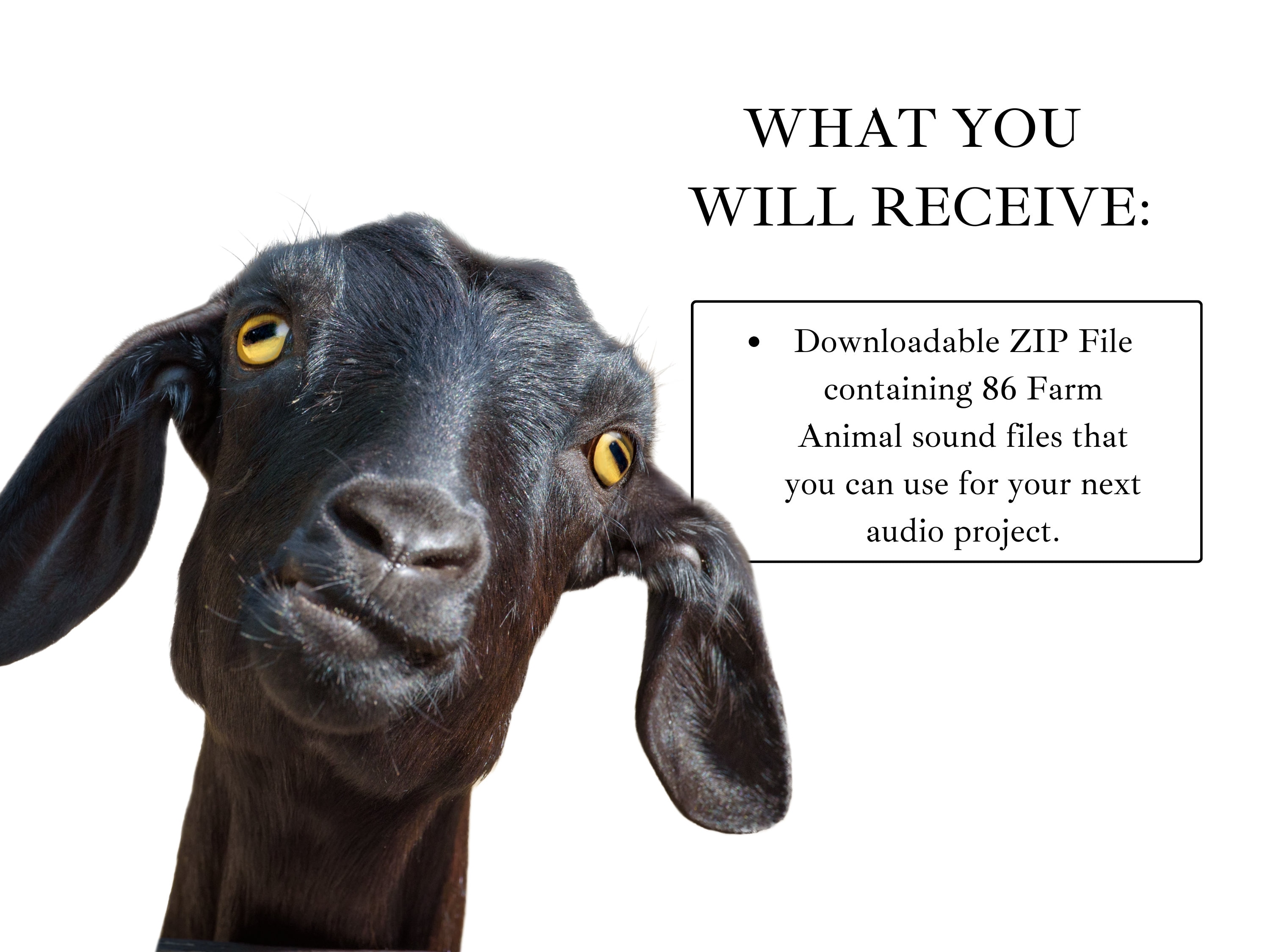 86 Farm Animal Sound Kit | Audio Project | Producer Sounds Kit | Sound ...