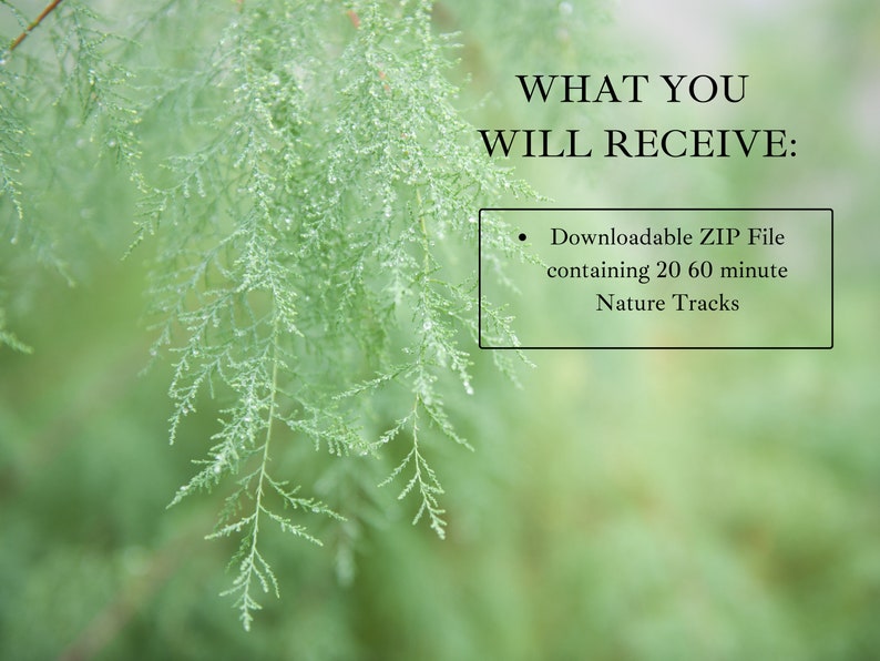 20 X 60 Minute Royalty-free Nature Sound Recordings | Meditation Sounds ...