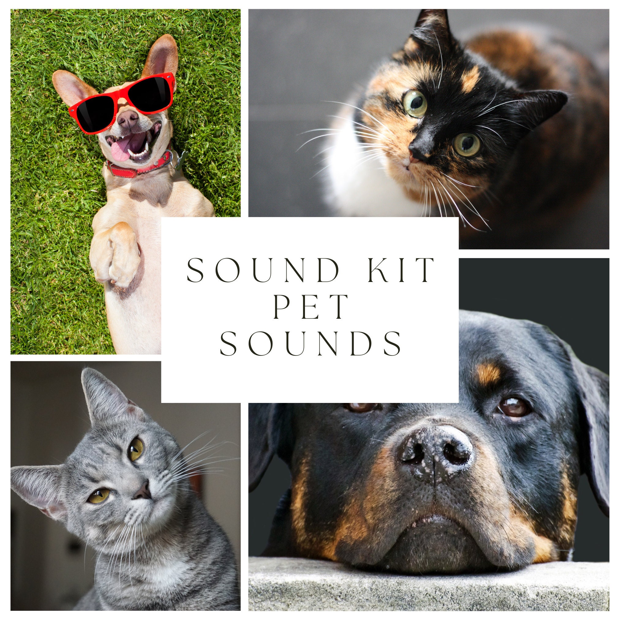 71 Pet Sound Kit Audio Project Animal Sounds Producer Sound Kit Sound ...