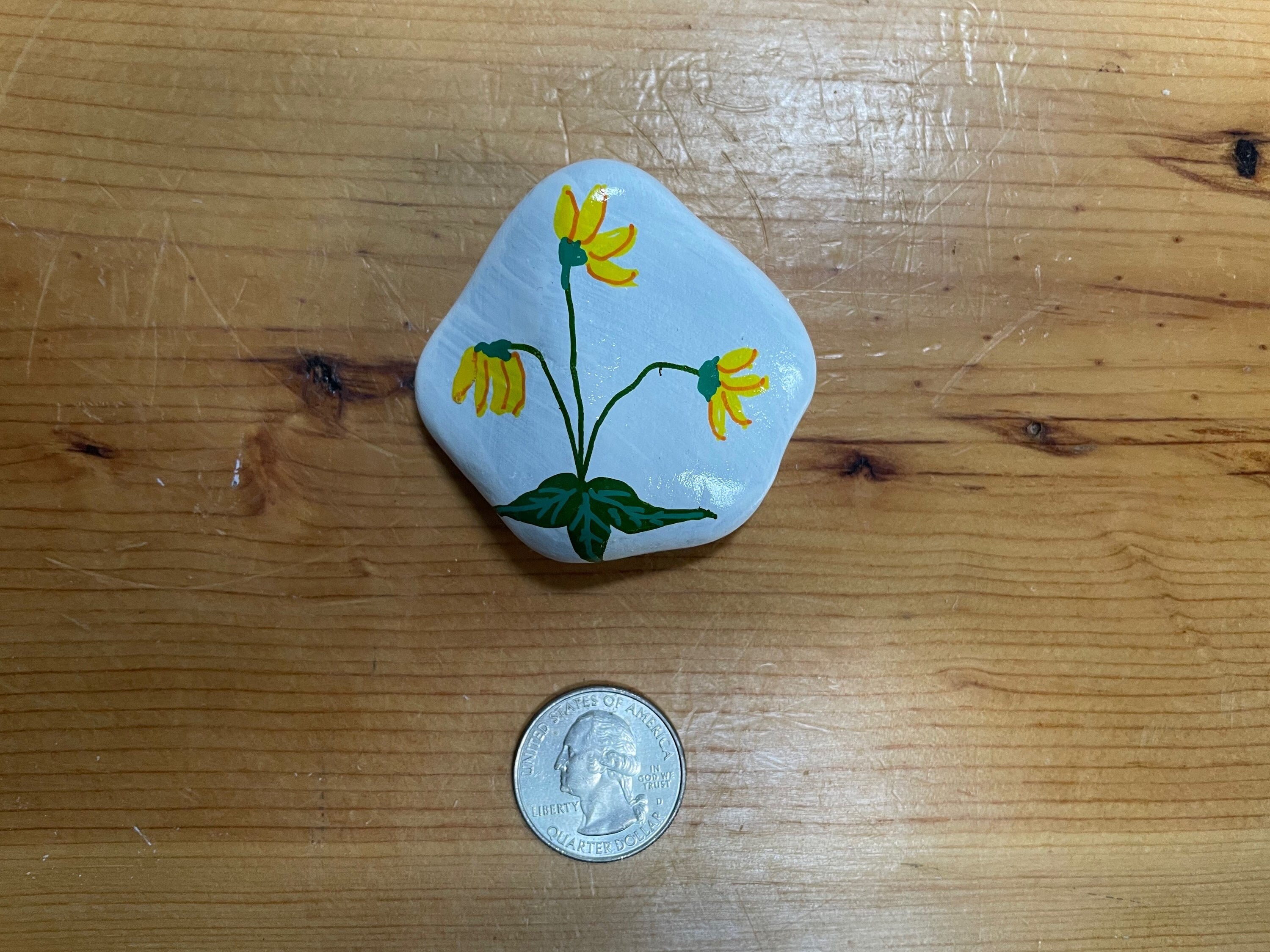Painted Rocks With Flowers Set of Six Small Hand Decorated River Stones ...