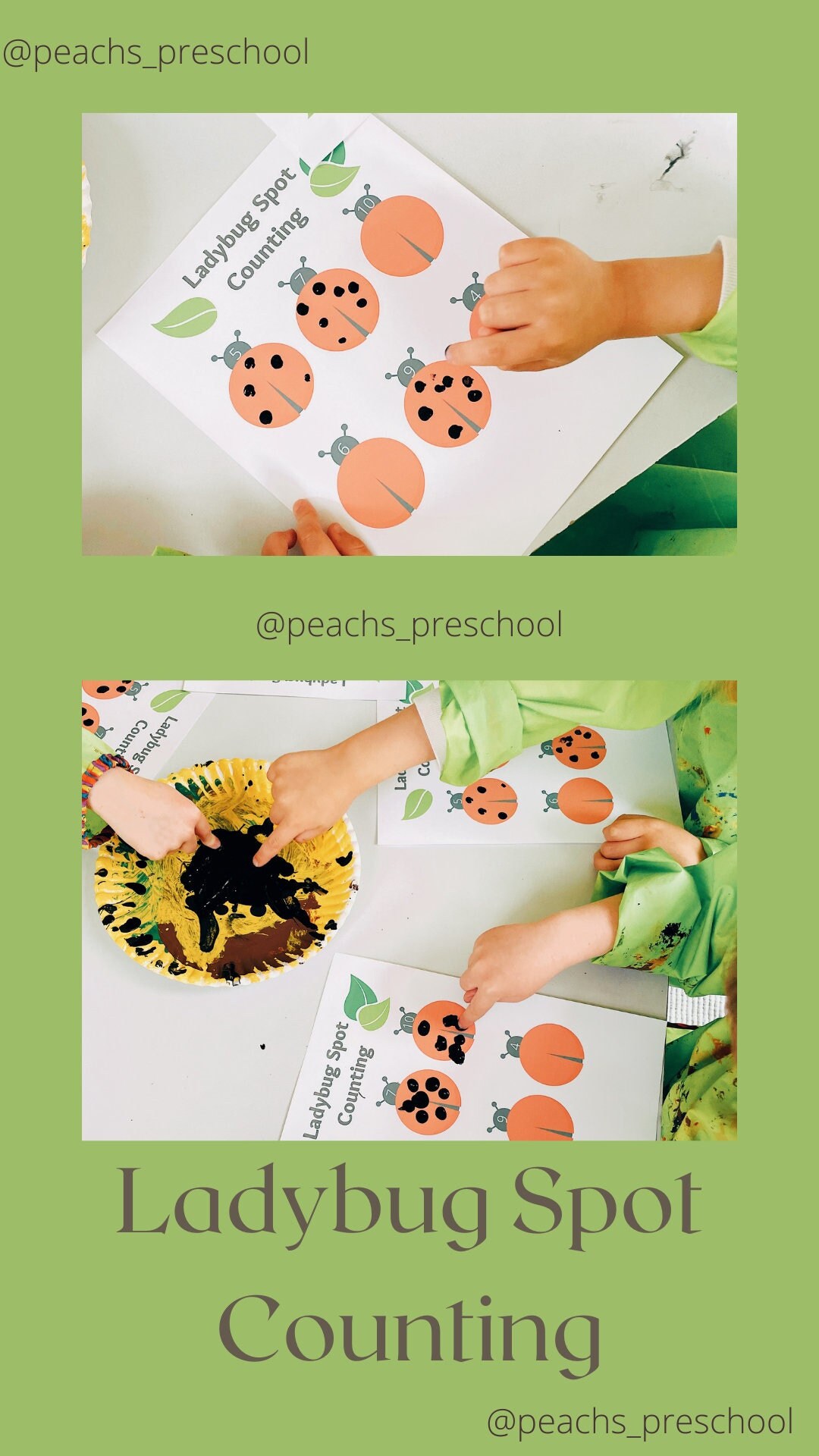 Ladybug Spot Counting - Etsy