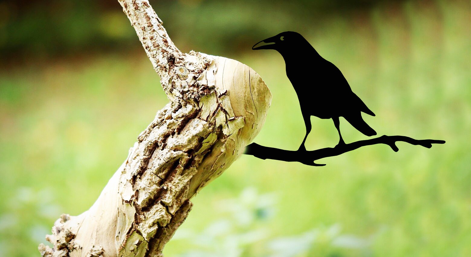 Metal Crow, Crow Yard Art, Metal Garden Decor, Metal Bird, Bird ...