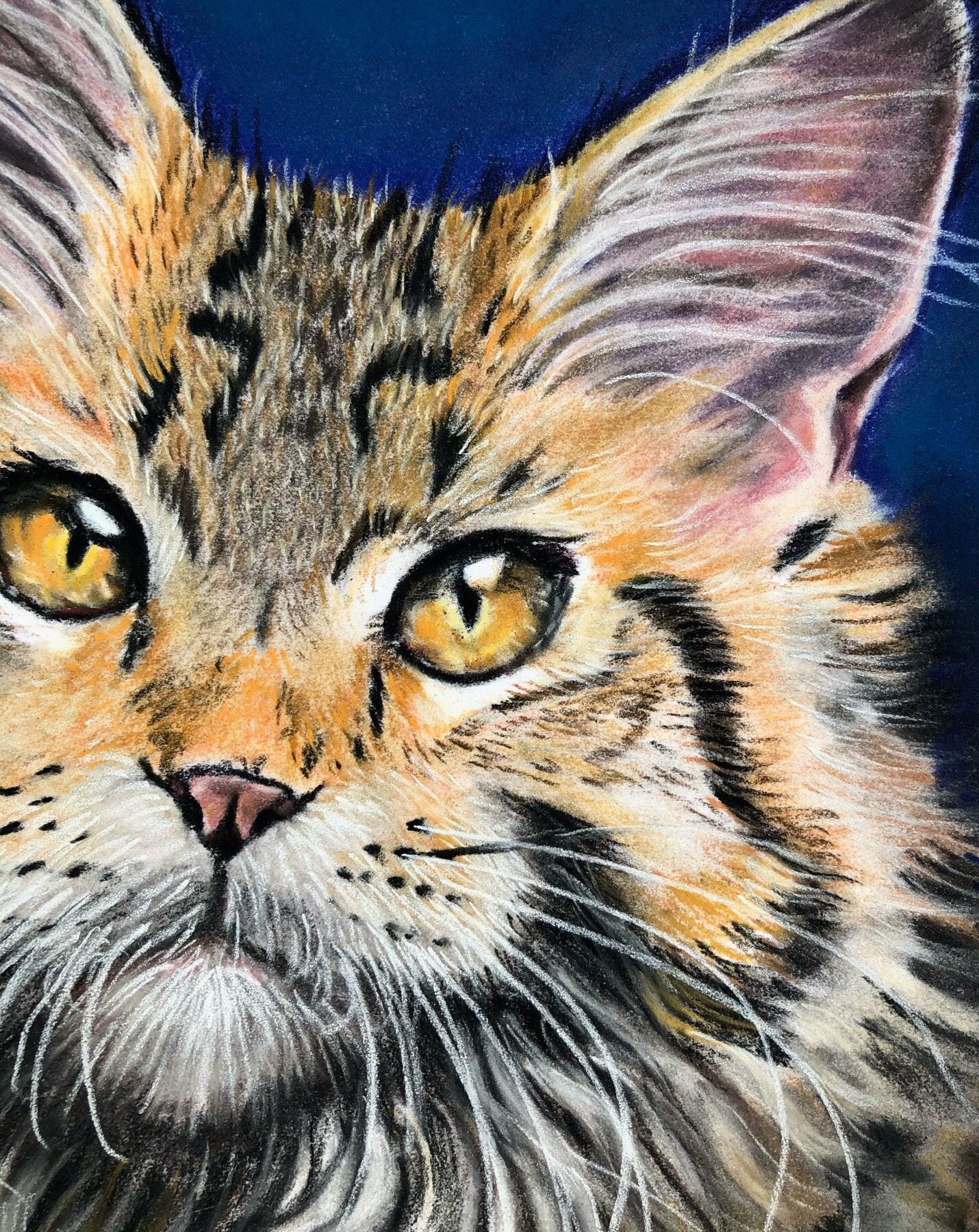 Maine Coon Original Artwork - Etsy