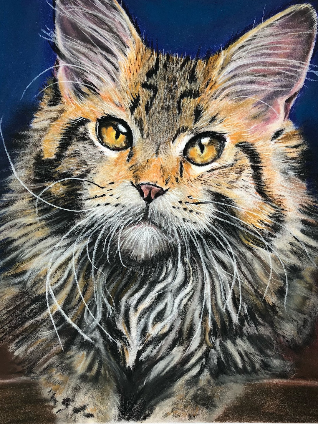 Maine Coon Original Artwork - Etsy