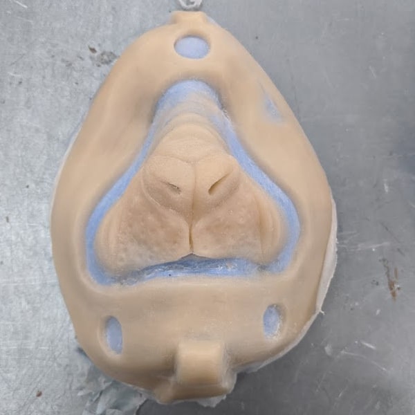 Nose Prosthetic - Etsy