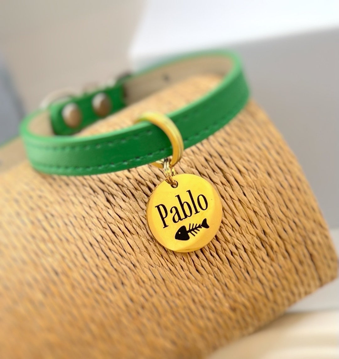 Dog and Cat Identification Medallion, Personalized Dog and Cat Medal ...