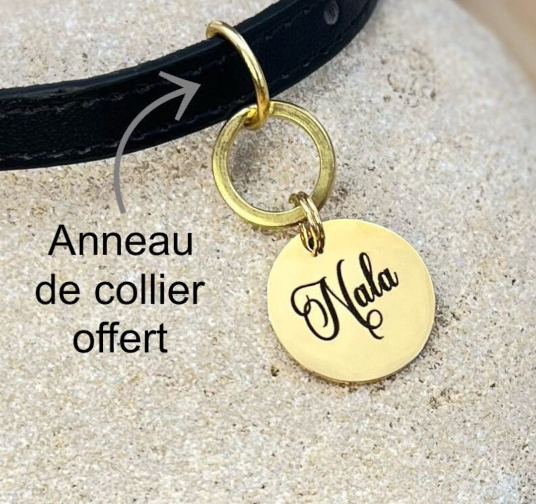 Personalized Engraved Medallion, Personalized Medallion for Dog or Cat ...