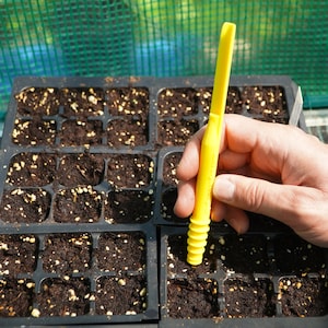 Dibby XL Large Seed Dibber | Deep Seedling Transplanting Tool ...