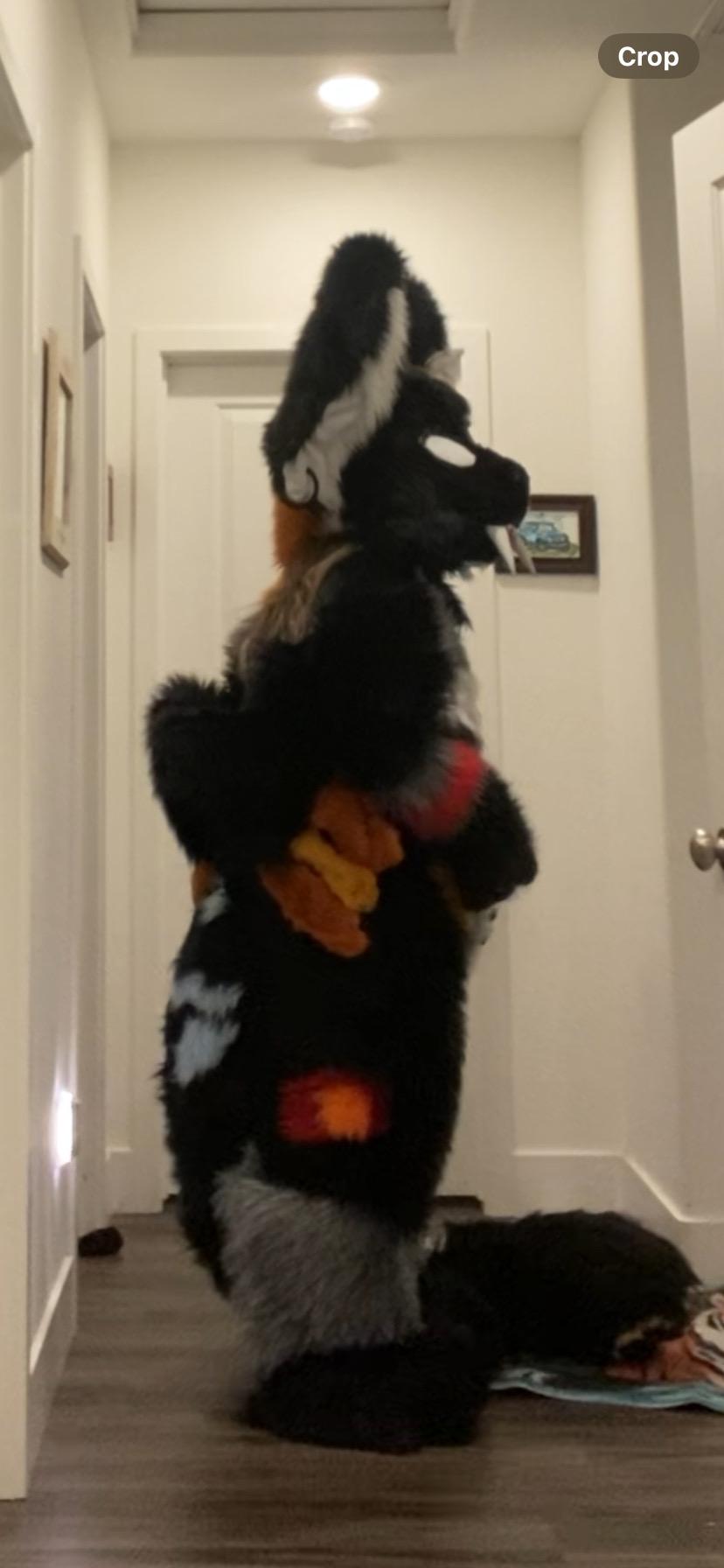 Full Digitigrade Fursuit for Sale - Etsy
