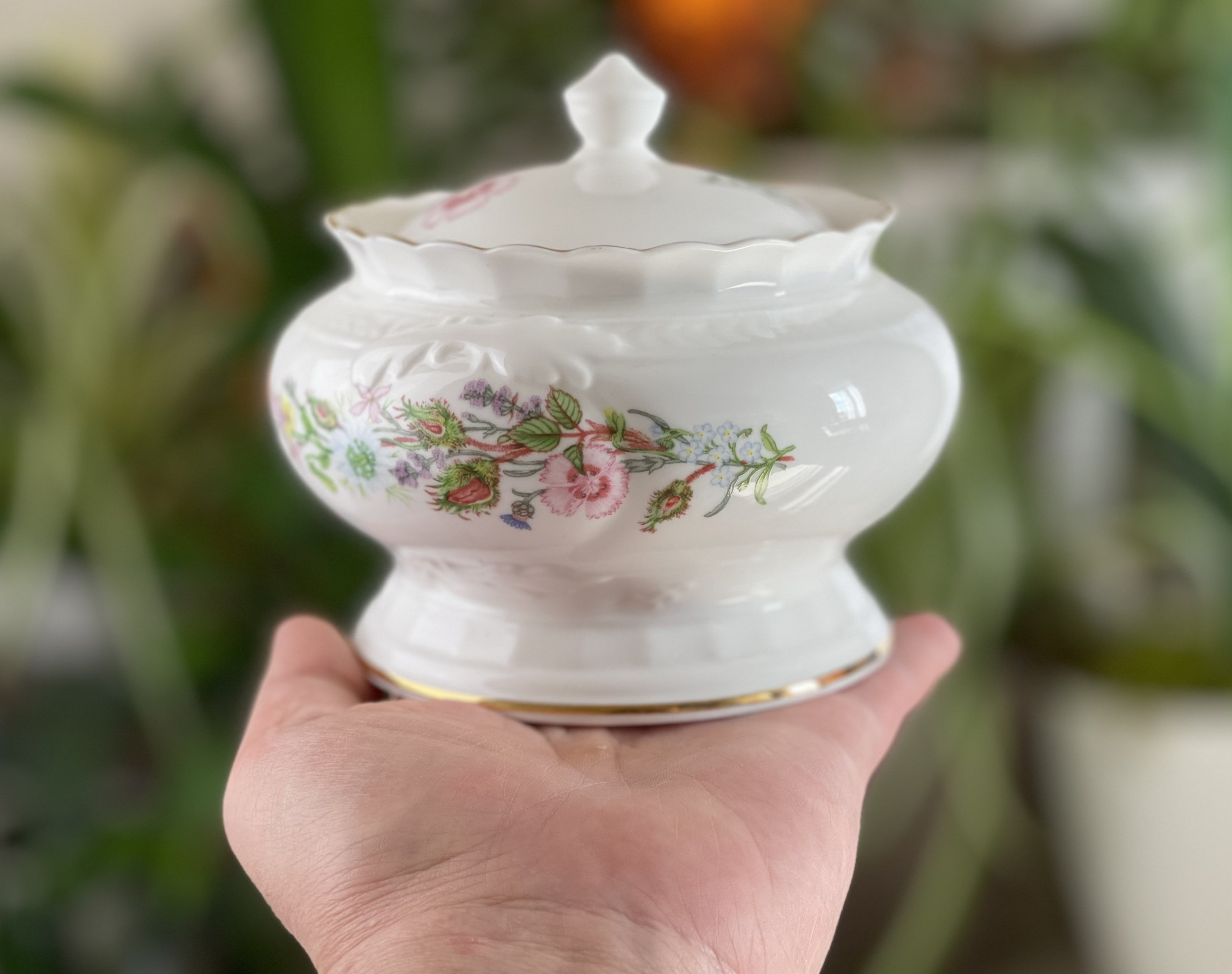 Sugar Bowl With Lid, Aynsley Wild Tudor Fine Bone China Made in England ...