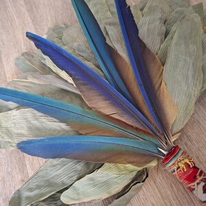 Chakapa ~ Shacapa ~ Shamanic Leaf Rattle ~ Macaw Feathers ~ Jaguar ...