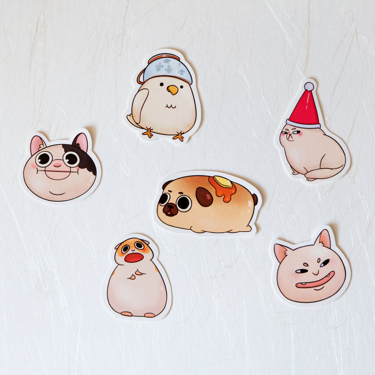 Cute Funny Animal Meme Sticker Pack Set pancake Pug Polite - Etsy UK