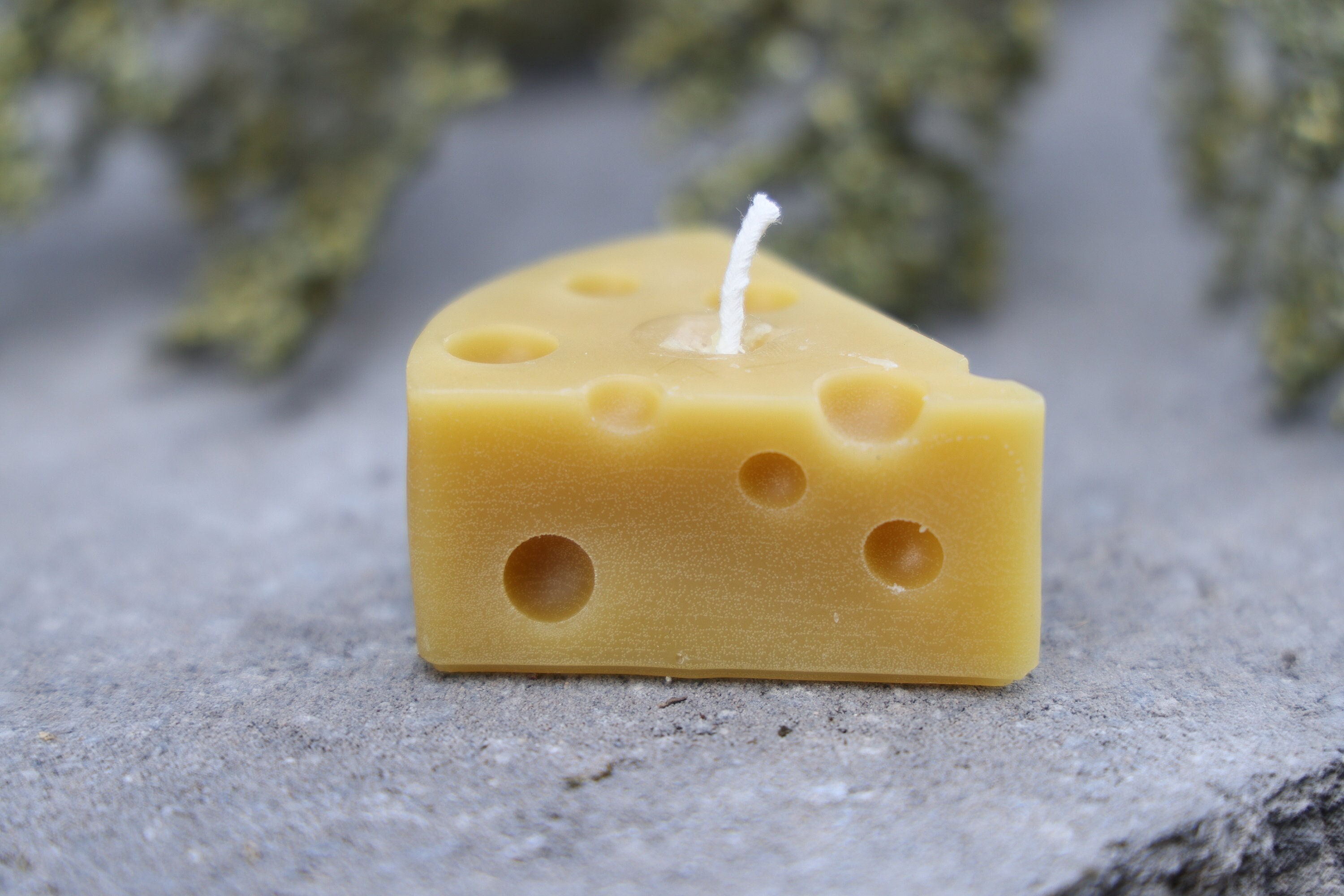 Swiss Cheese Candles - Etsy