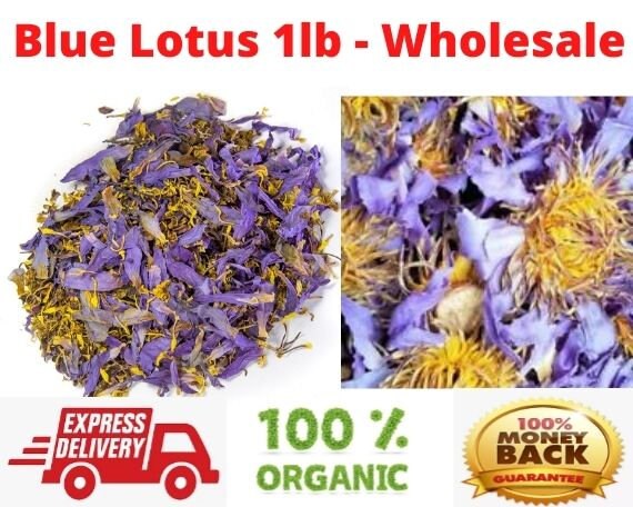 Blue Lotus Flower Bulk1lb/450g/16oznymphaea Caerulea/egyptian Lotus for ...