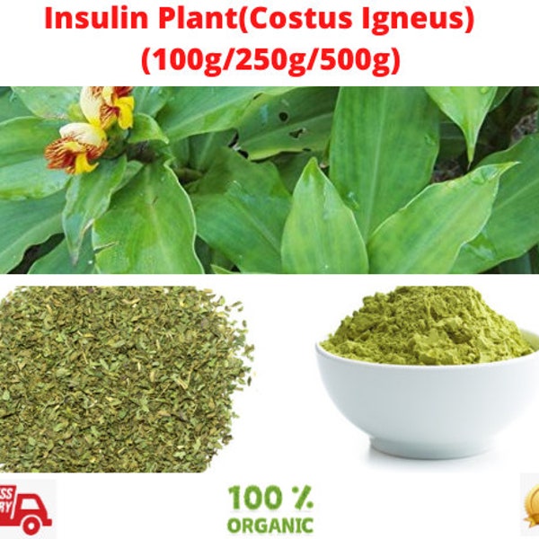 Insulin Herb Tea - Etsy