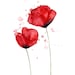 Poppy Flower Digital Print - Art Digital Prints - Watercolor Poster ...