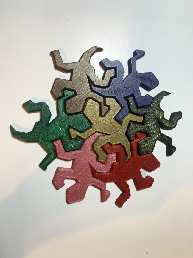 Lizard Magnet Tessellation - Set of 7 Magnets - Etsy