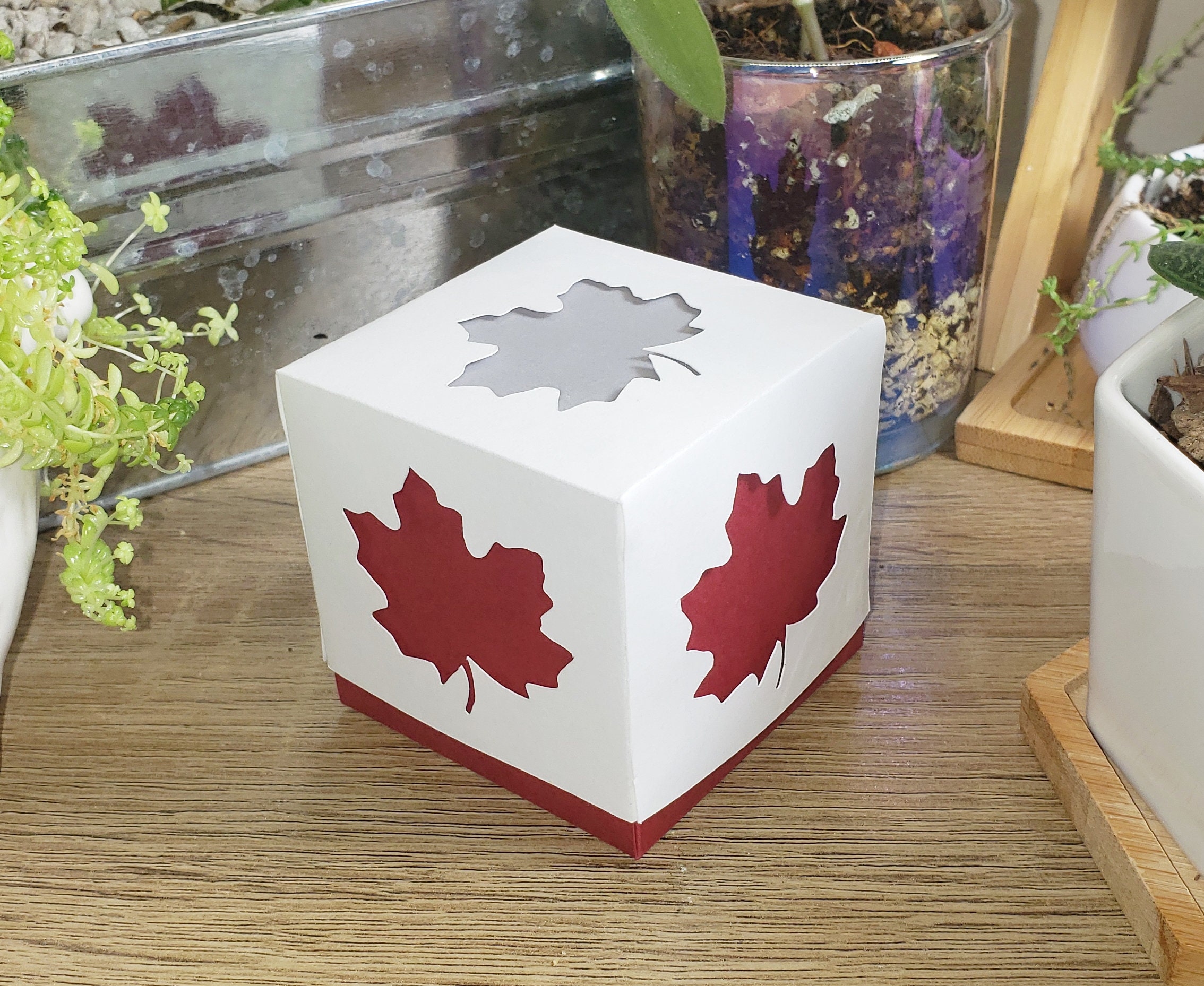 3D Cardstock Maple Leaf Box SVG Digital Cut File for Use - Etsy