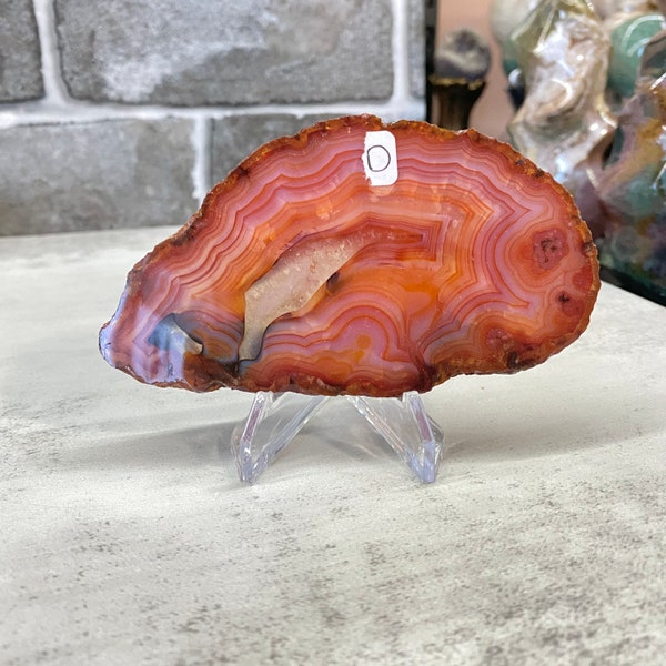 Large Agate Slice - Etsy