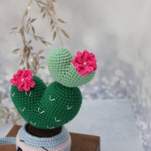 Crochet Cactus Pot Pattern Baby Girl Cactus Nursey Decor - Etsy