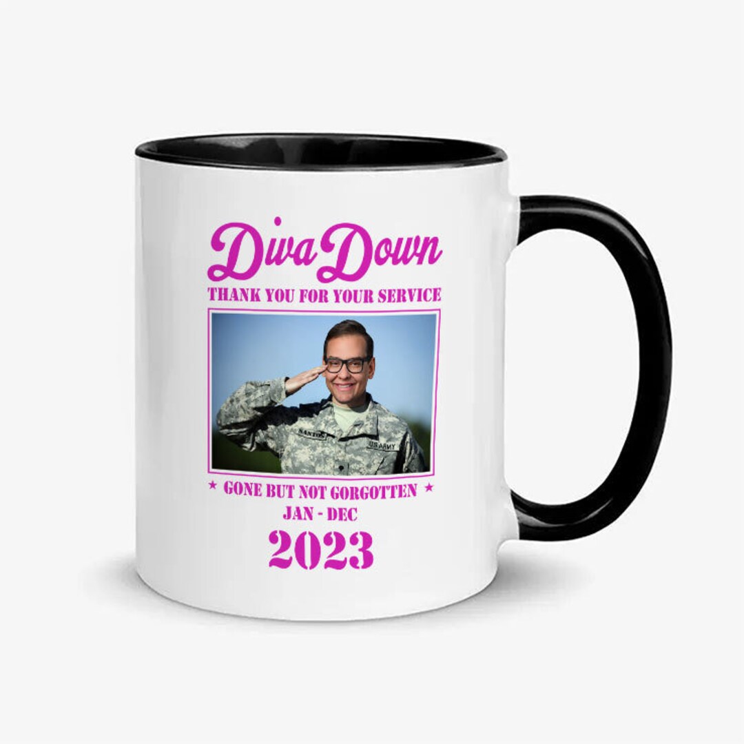 Diva Down Thank You for Your Service George Santos Gone but Not ...
