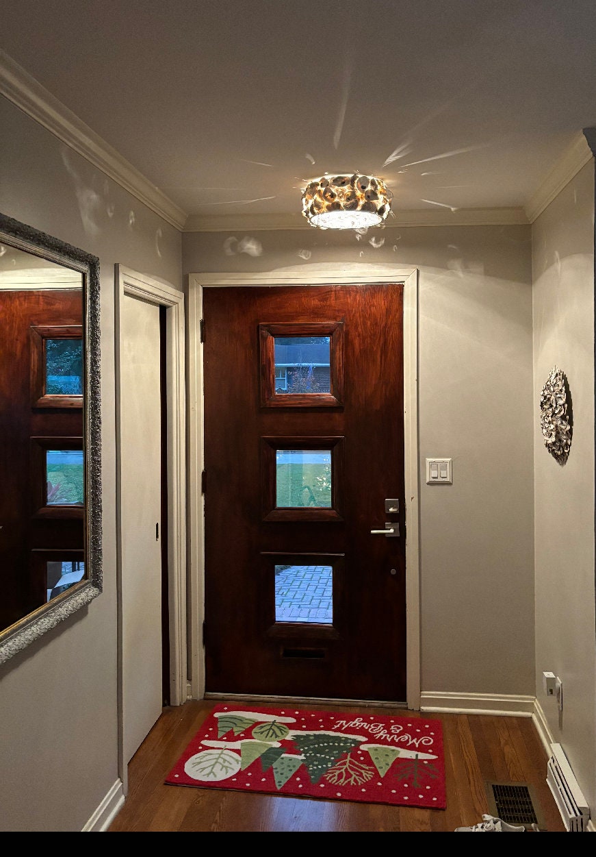 Flush Mount Oyster Shell Light Fixture - Etsy