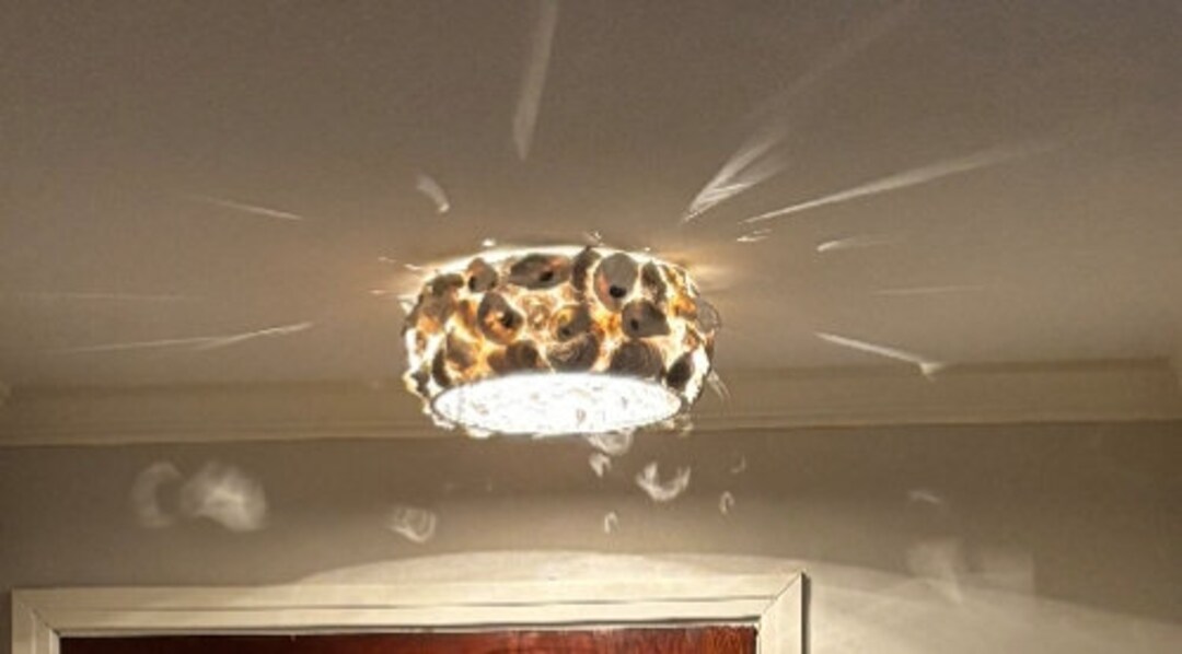 Flush Mount Oyster Shell Light Fixture - Etsy