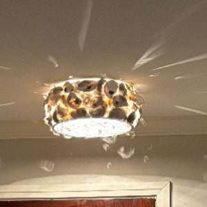 Flush Mount Oyster Shell Light Fixture - Etsy