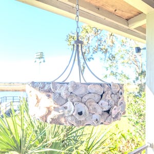Custom Oyster Chandelier (brushed Nickel) - Etsy