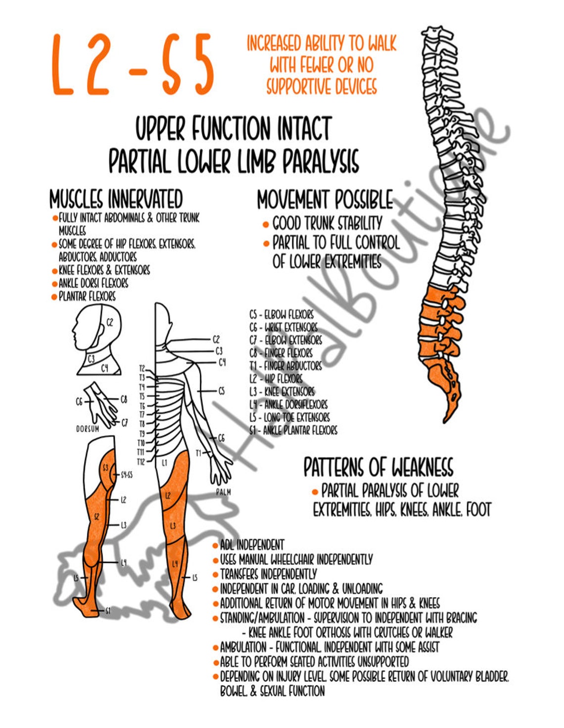 Spinal Cord Injury (SCI), Occupational Therapy, Physical Therapy, Back ...