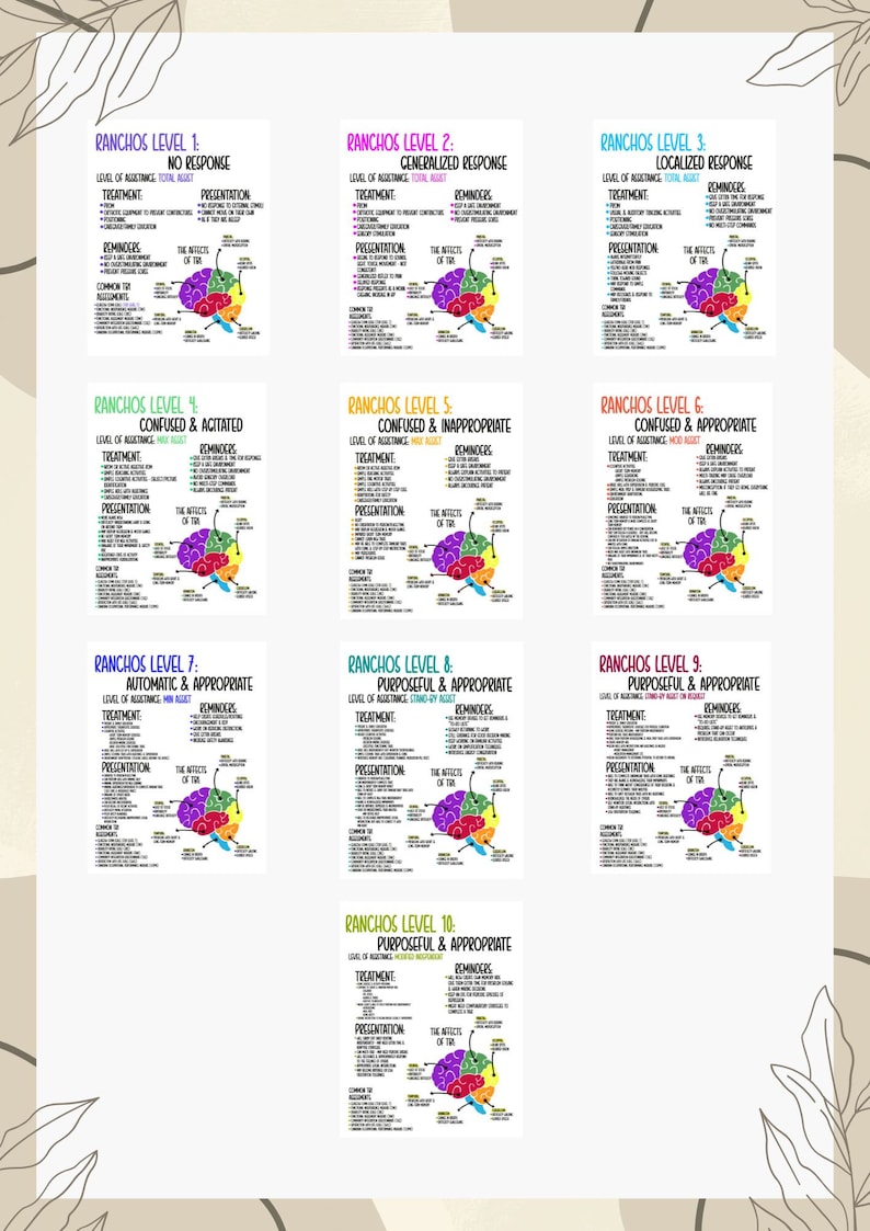 Rancho Los Amigos Scale Study Guide: TBI Occupational & Physical ...