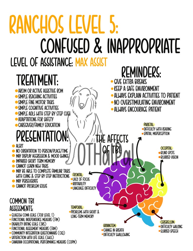 Traumatic Brain Injury, TBI, Rancho Los Amigos Scale, Occupational Therapy, Physical Therapy ...