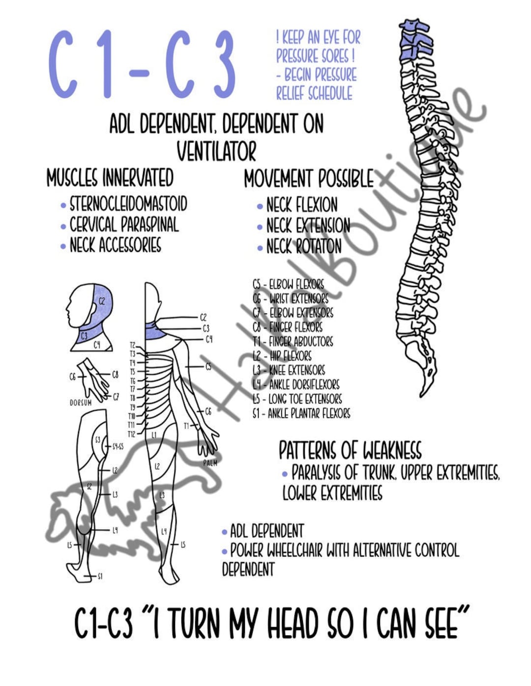 Spinal Cord Injury (SCI), Occupational Therapy, Physical Therapy, Back ...