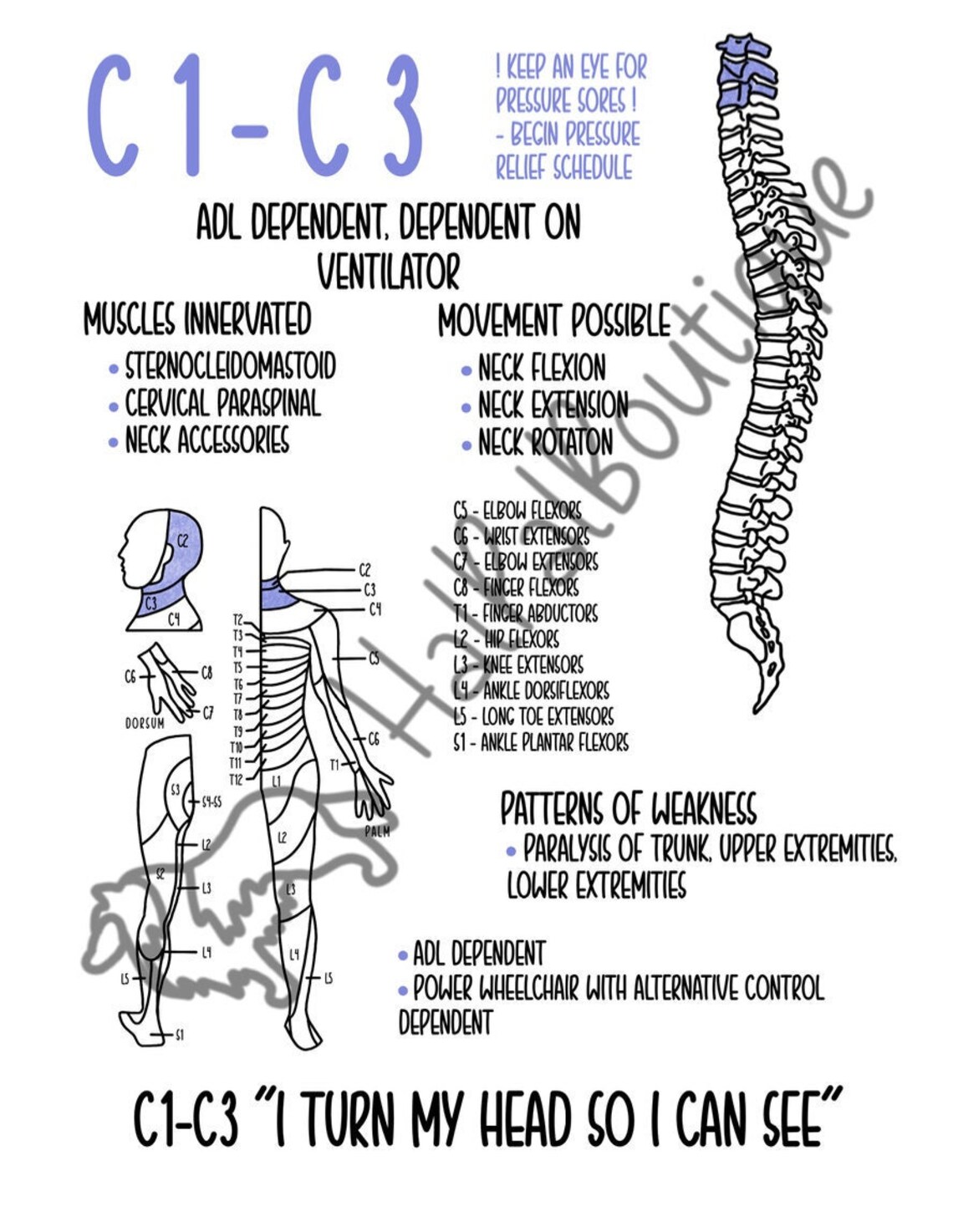 Spinal Cord Injury (SCI), Occupational Therapy, Physical Therapy, Back ...