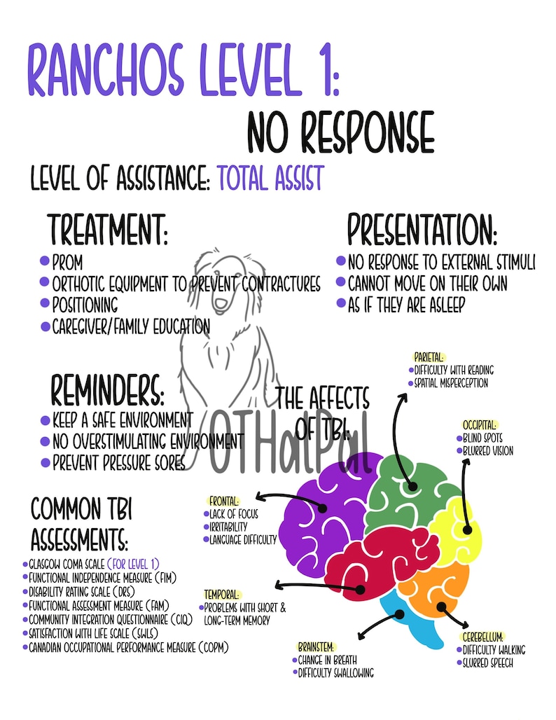 Rancho Los Amigos Scale Study Guide: TBI Occupational & Physical ...