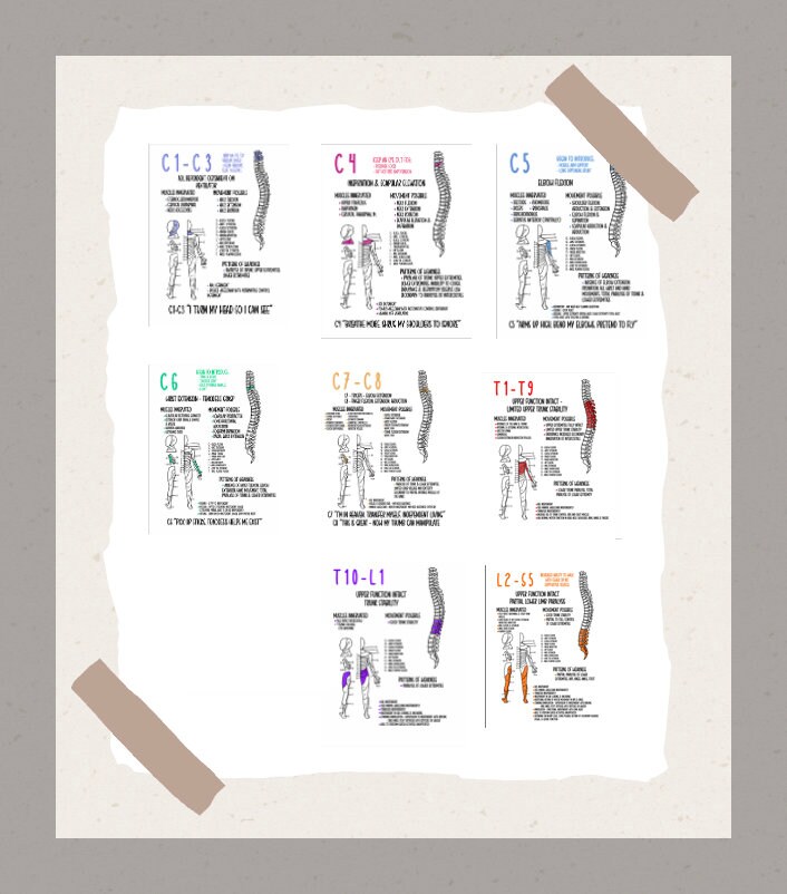 Spinal Cord Injury (SCI), Occupational Therapy, Physical Therapy, Back ...