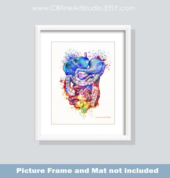 Anatomy Art intestines Watercolor Intestines Print - Etsy