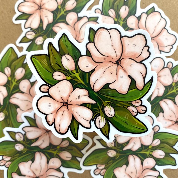 Sampaguita 3 Sticker National Flower of the - Etsy