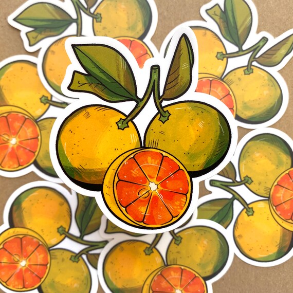 Calamansi 3 Sticker Filipino Citrus Fruit - Etsy