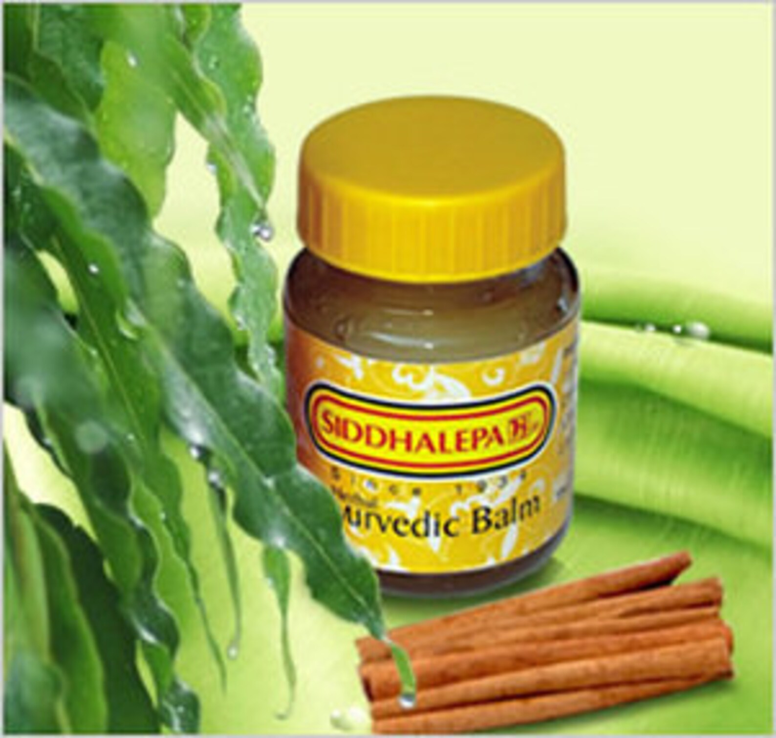 Siddhalepa Ayurvedic Herbal Balm For All Your Pains Free | Etsy