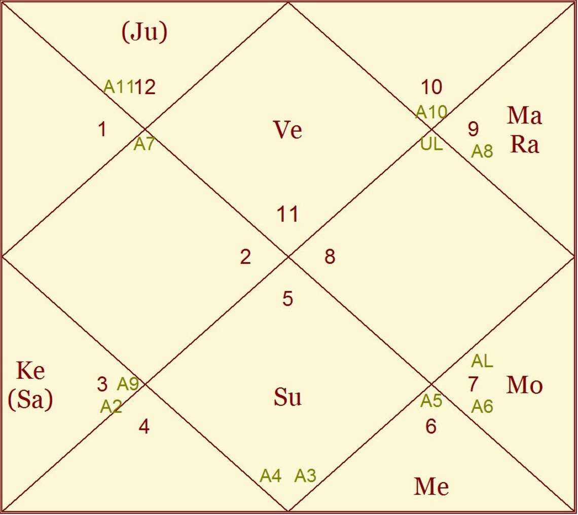Dasamsa Chart Reading Vedic Astrology. Career & Wealth - Etsy