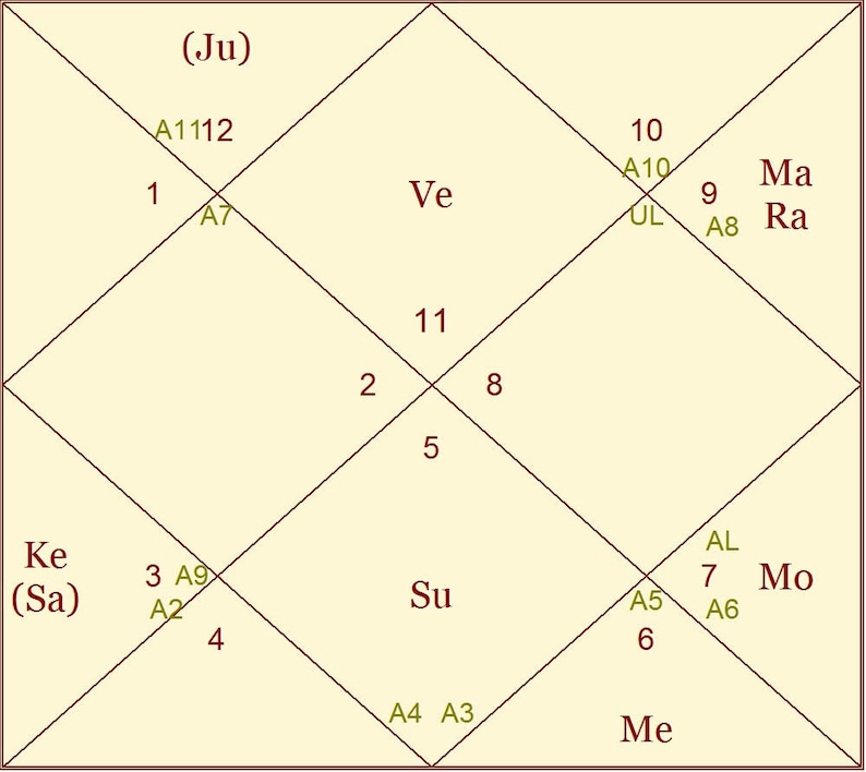 Dasamsa Chart Reading Vedic Astrology. Career & Wealth Report. D10 ...