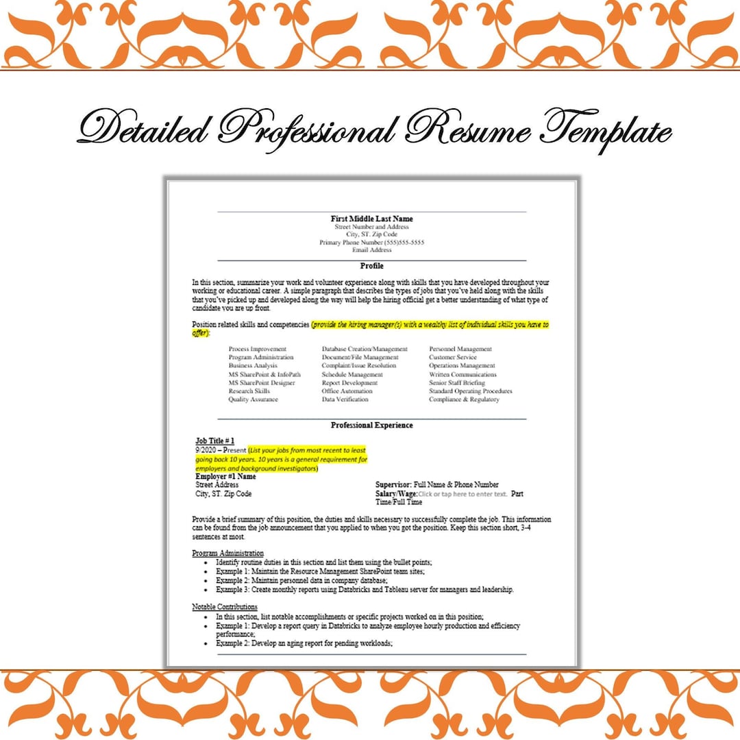 Detailed Professional Resume Template - Federal Government ...