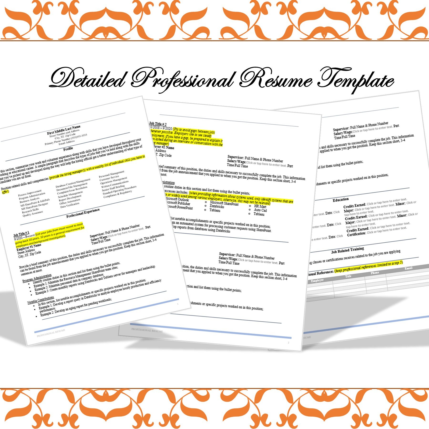 Detailed Professional Resume Template - Federal Government ...