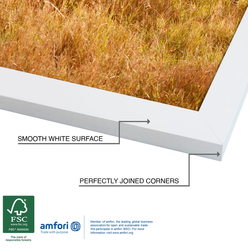 11x14 Frame Set of 4 Eco-friendly White Poster Frame 14x11 | Etsy