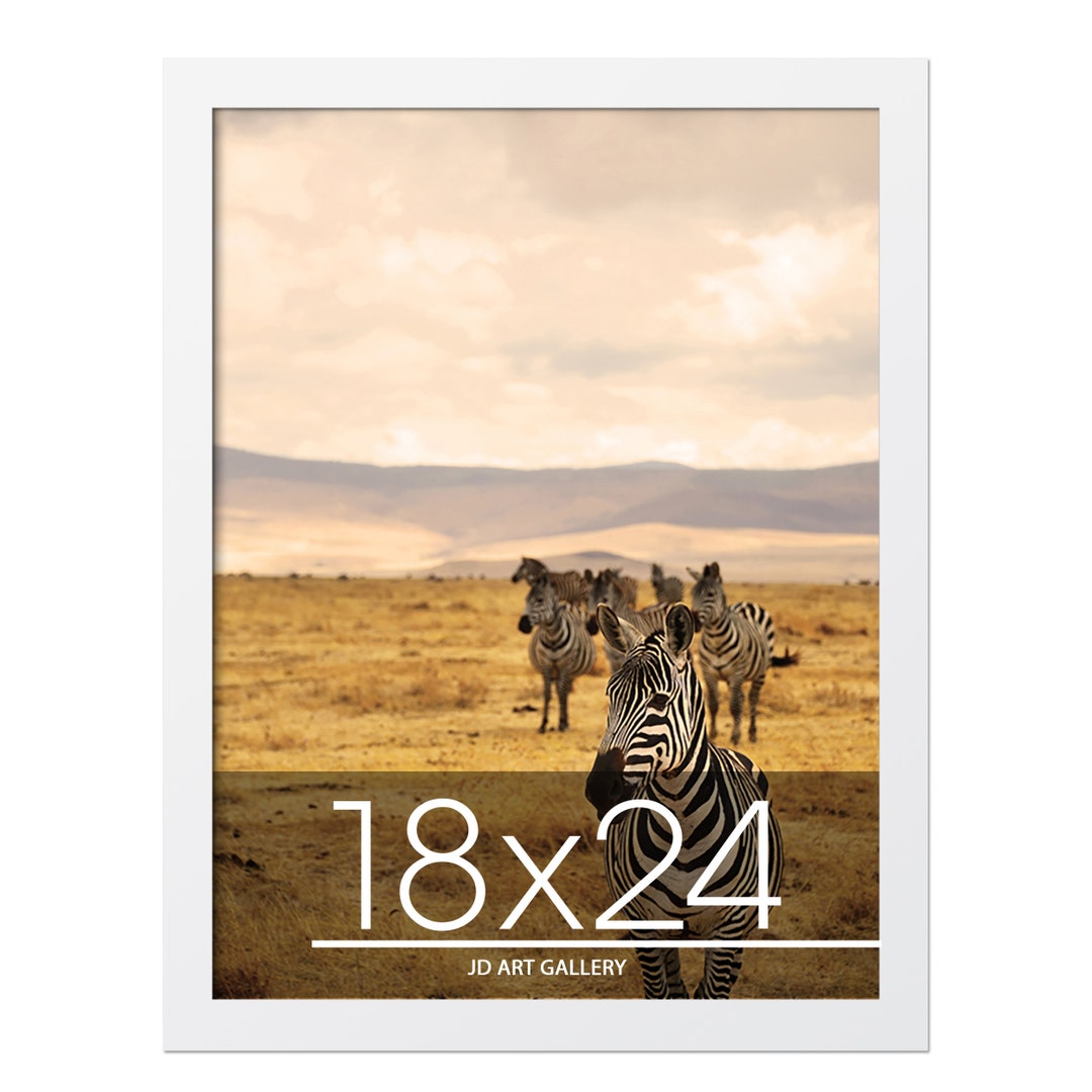 18x24 Poster Frame in White, 24x18 Frame White, 18x24 Picture Frames ...