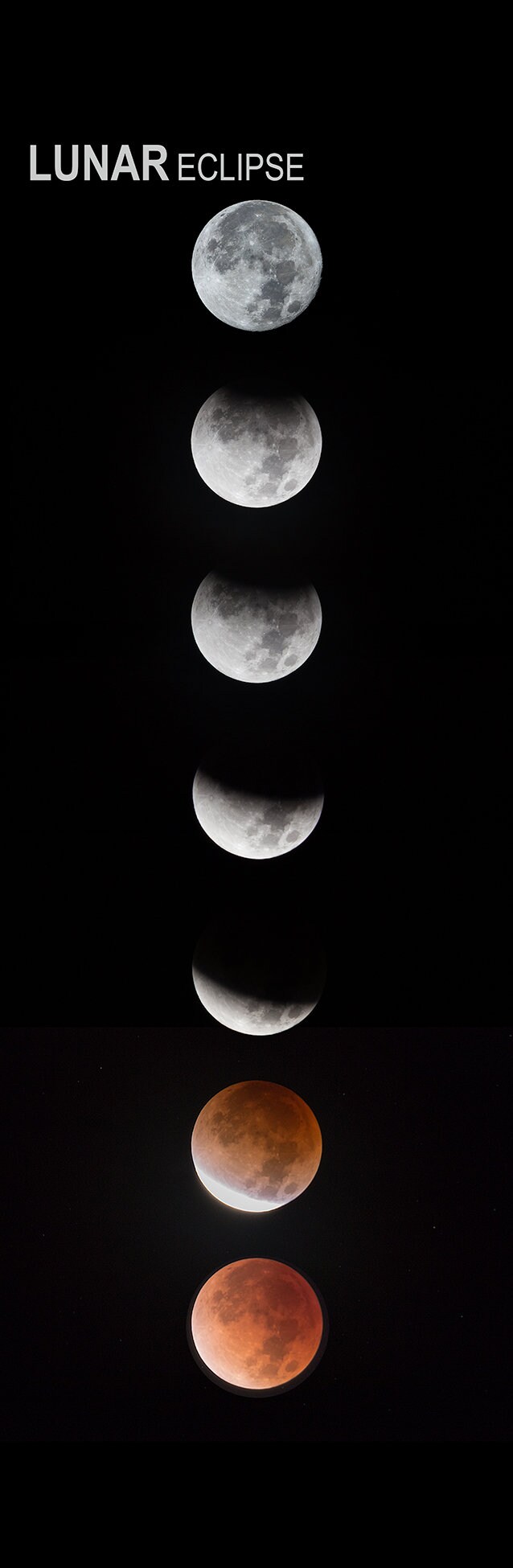 100 Two-sided Eclipse Bookmarks Solar Lunar Astronomy Bookstore ...