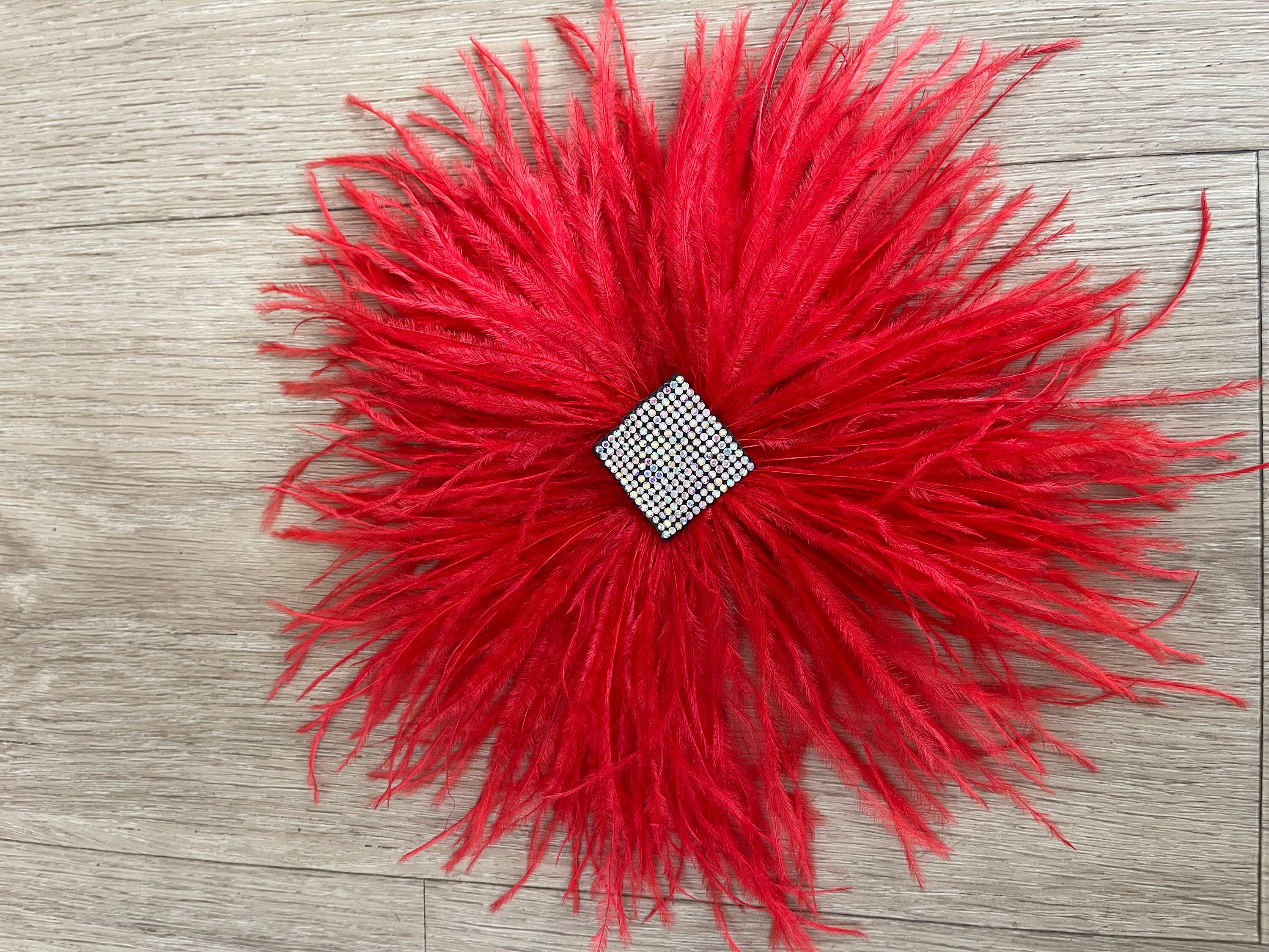 Large Red Feather Brooch Pin Shoulder Corsage Wedding Accessories Red ...